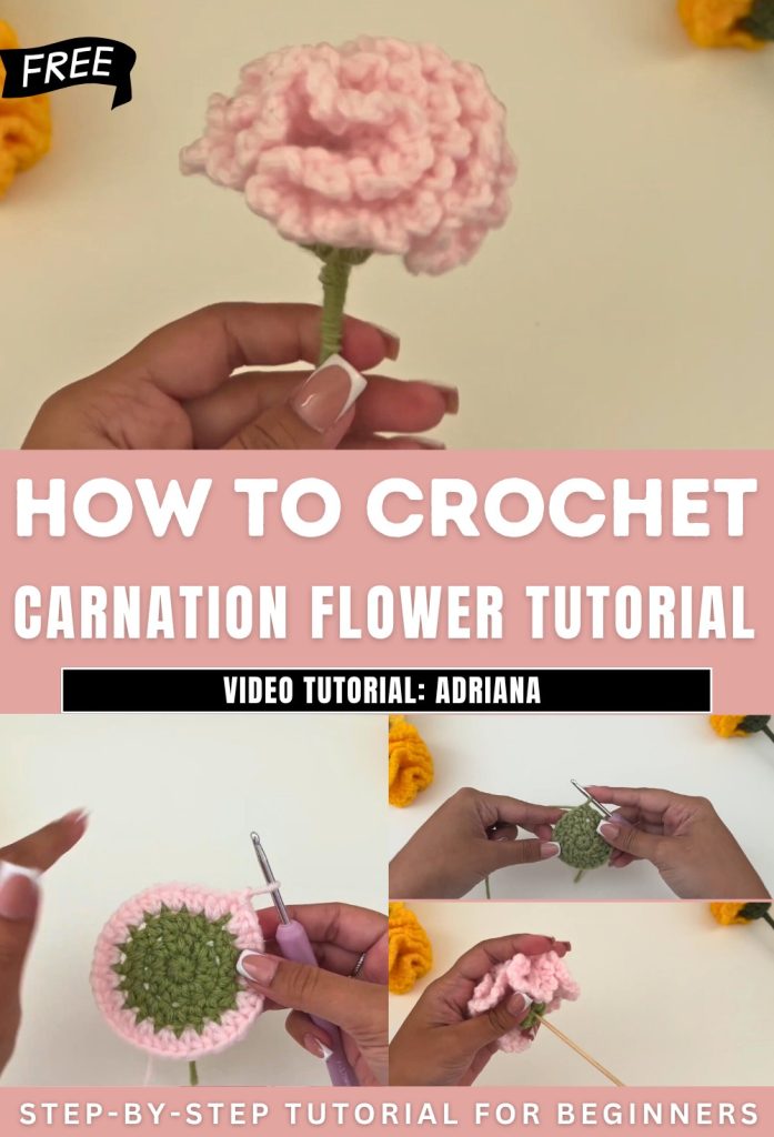 How to Crochet A Carnation Flower for Spring - Red Agape Blog